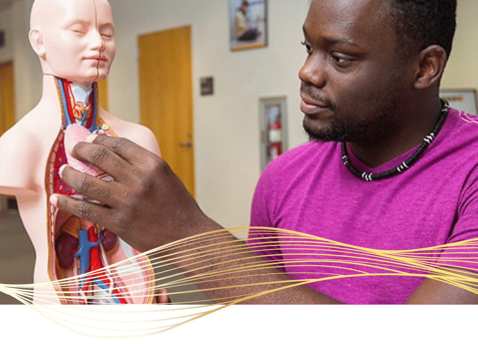 Laupus Health Sciences Library - ECU Health Foundation